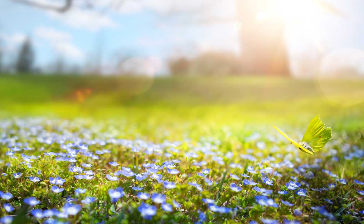 A More Secure Business this Spring - Security Instrument Corp